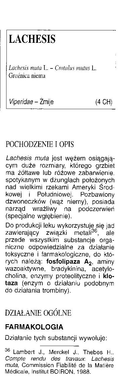 Materia Medica - Lachesis mutus - Homeopatia Polska